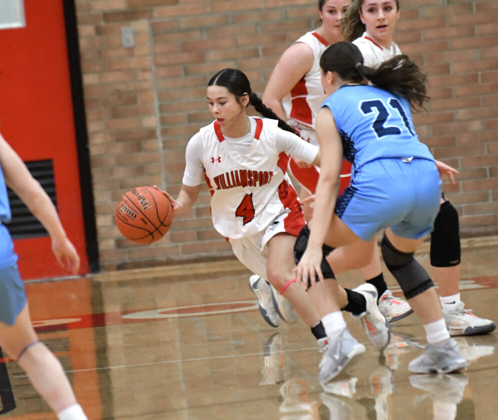 Passing fancy: Unselfish Williamsport shows off balance in convincing ...